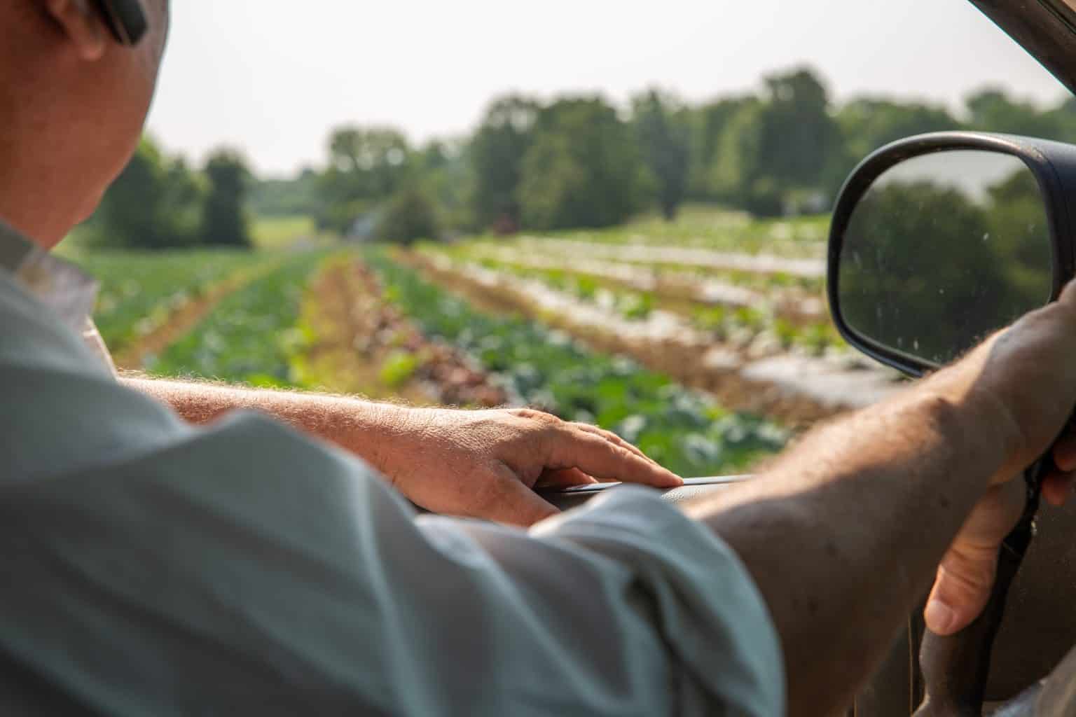 Smiley's Farm uses LFPA Grant to Give Back - Second Harvest Food Bank ...