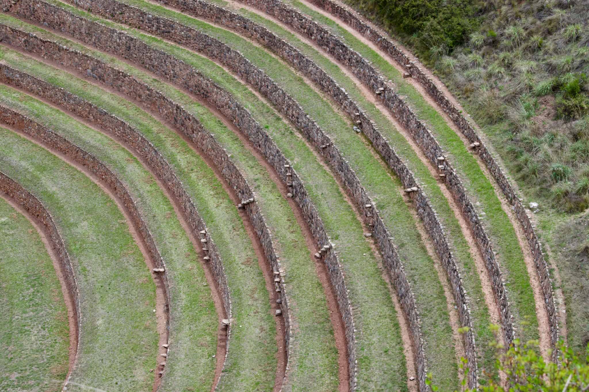 Celebrating National Native American Heritage Month: Indigenous Farming ...